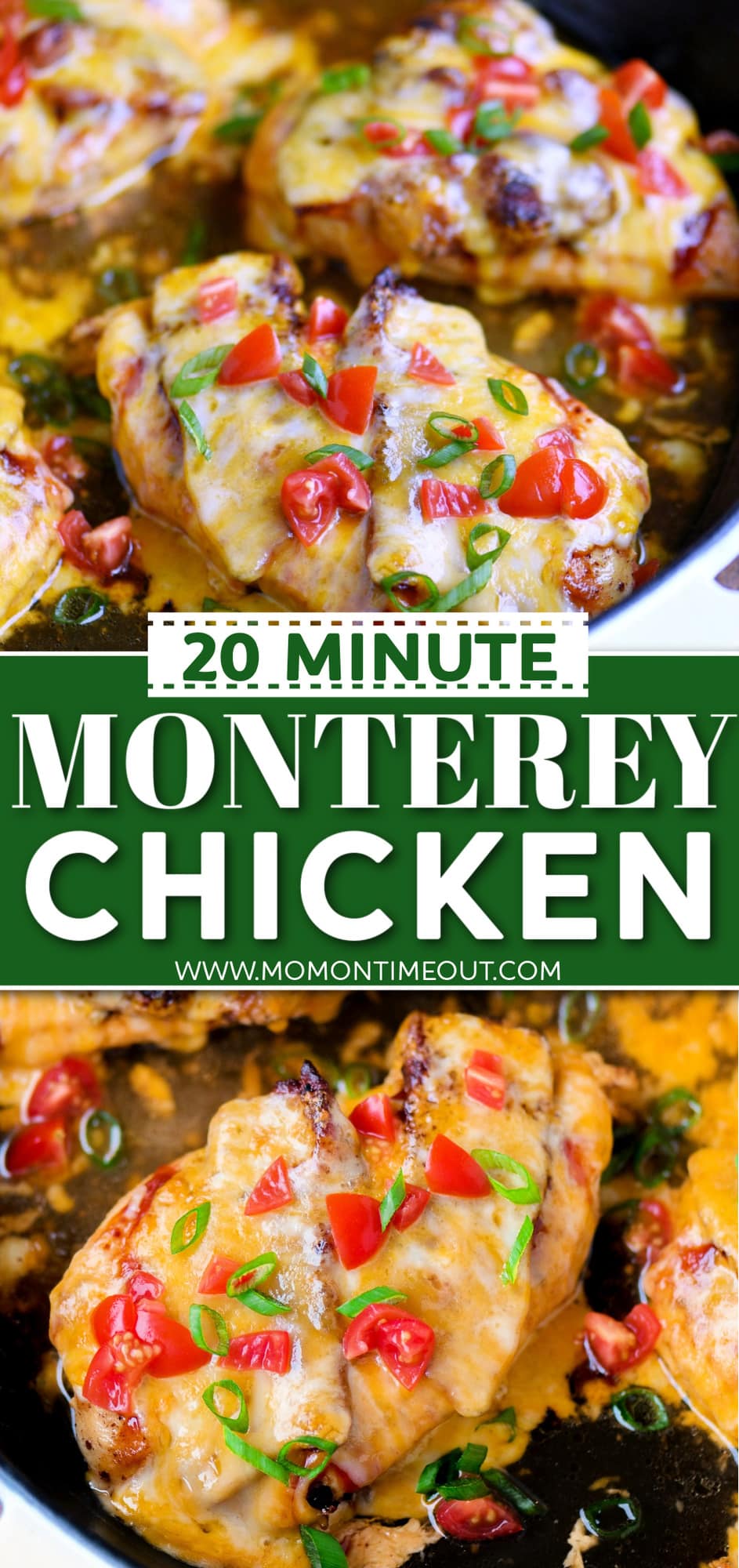 Monterey Chicken Recipe - Mom On Timeout