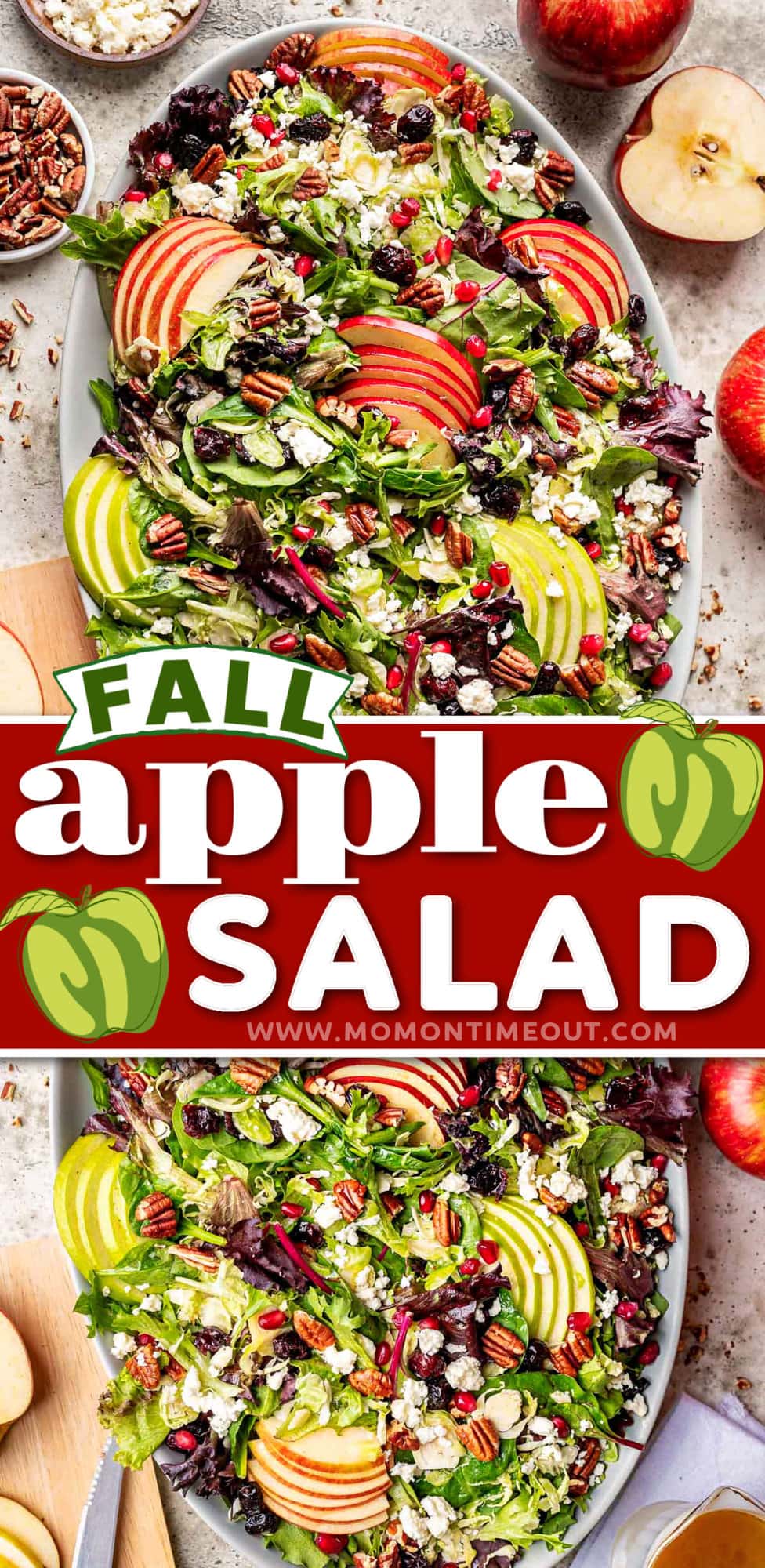 Fall Apple Salad - Mom On Timeout