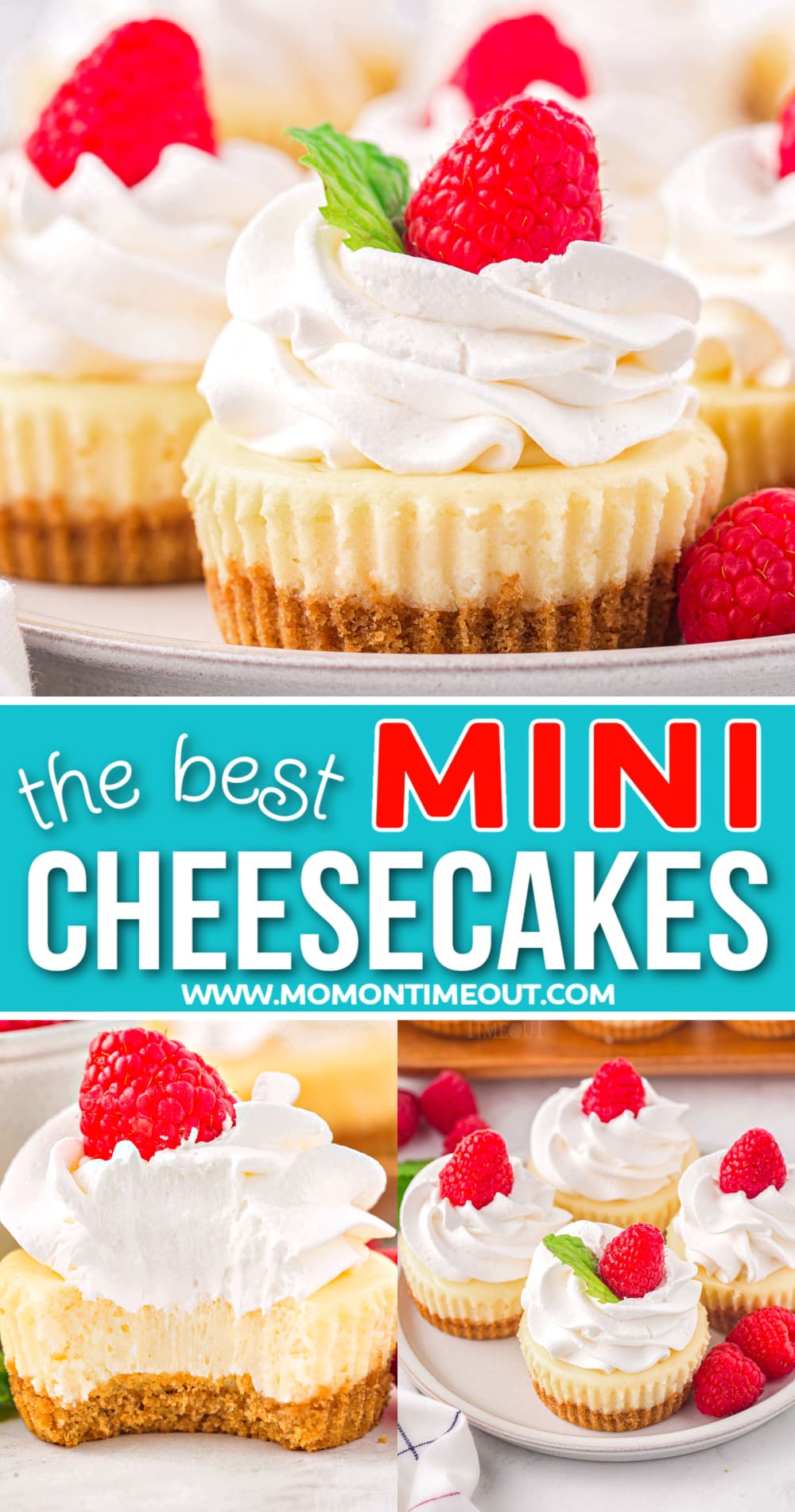 Mini Cheesecakes - Mom On Timeout