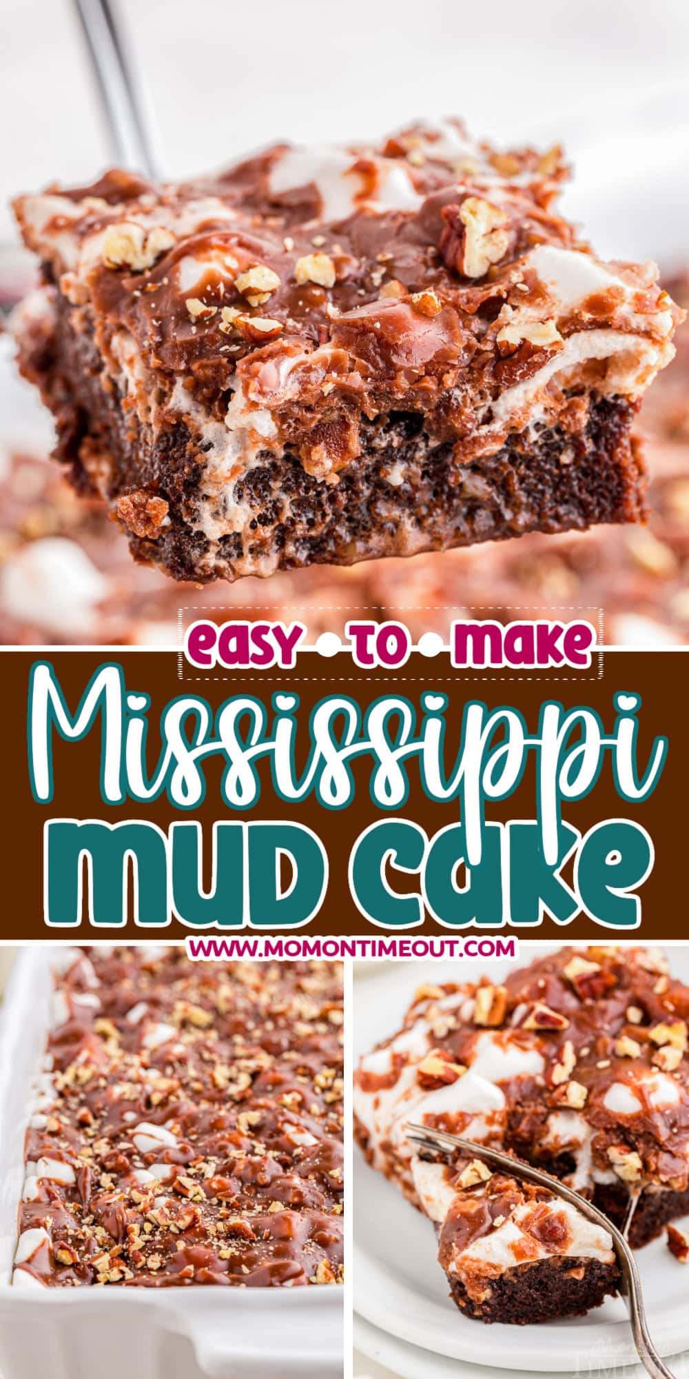 Mississippi Mud Cake - Mom On Timeout