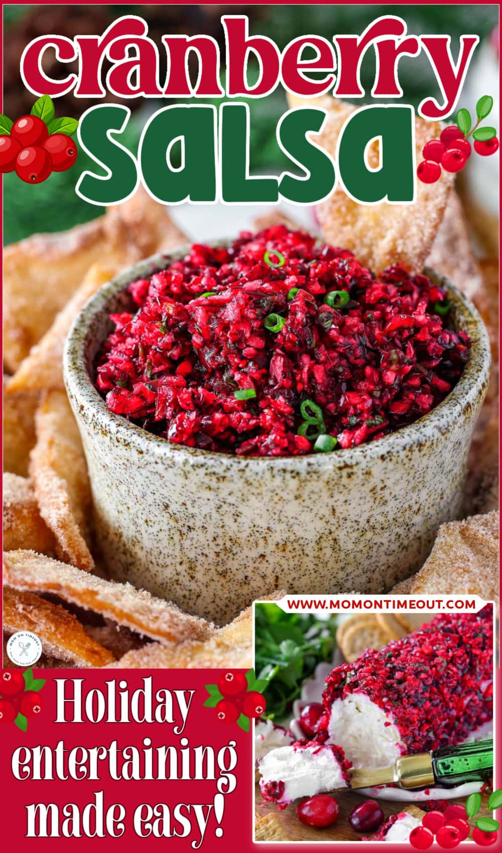 Cranberry Salsa Recipe - Mom On Timeout